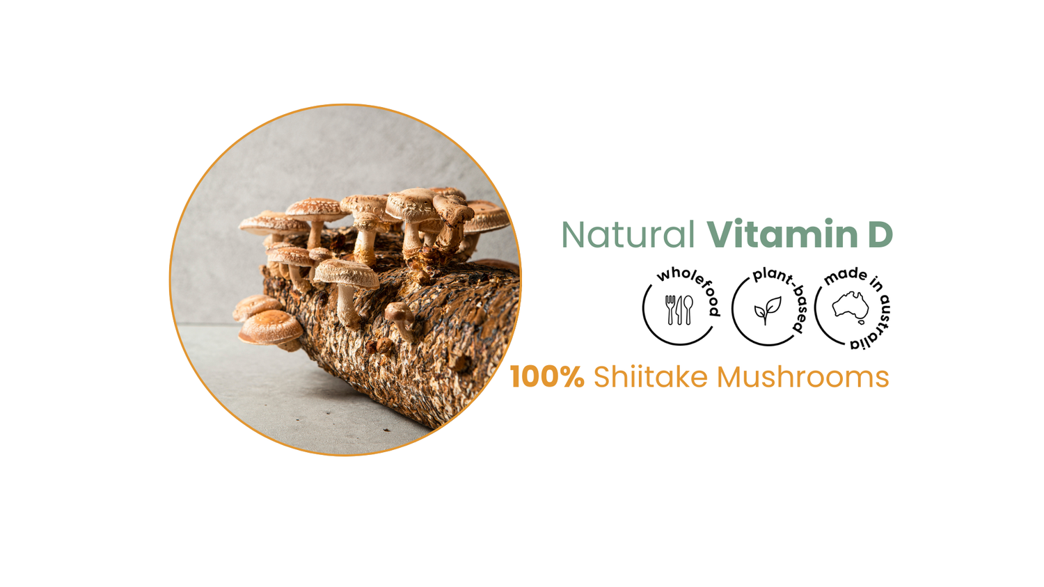 Hi-D Mushroom Vitamin D